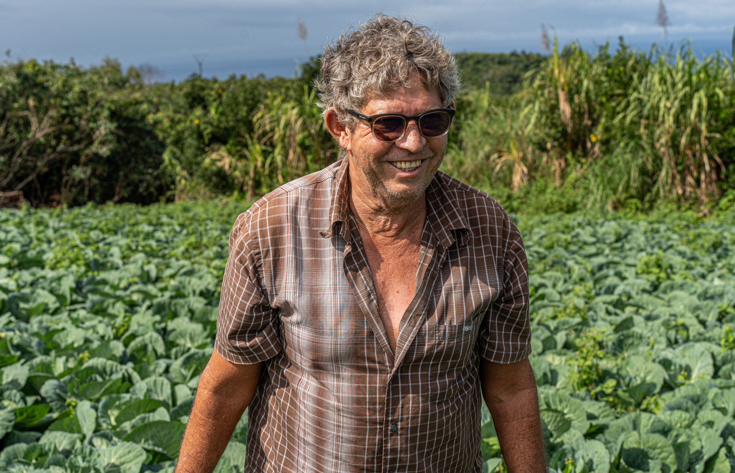 JEAN - HUGUES HOAREAU - SICATR