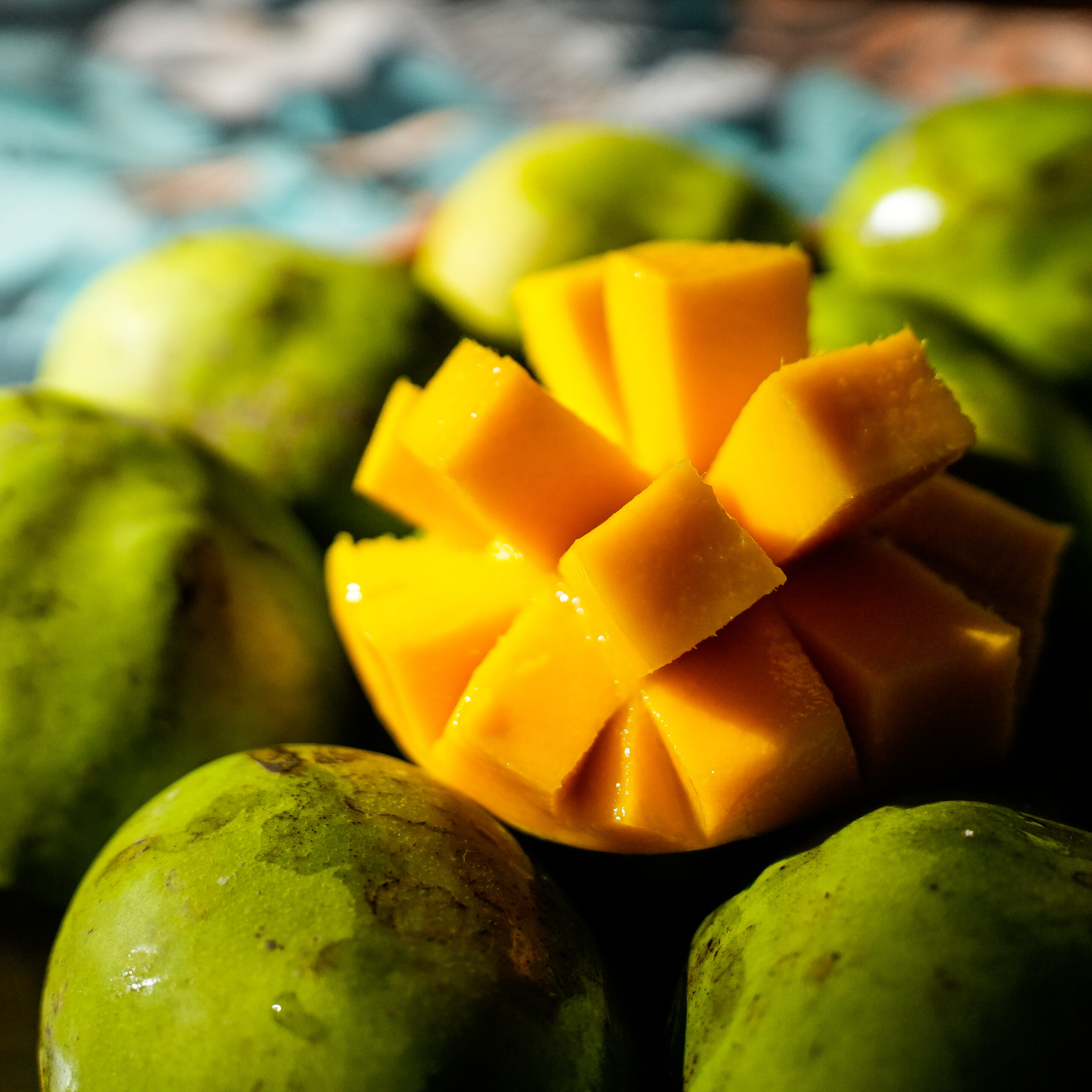 La mangue péi - SICATR
