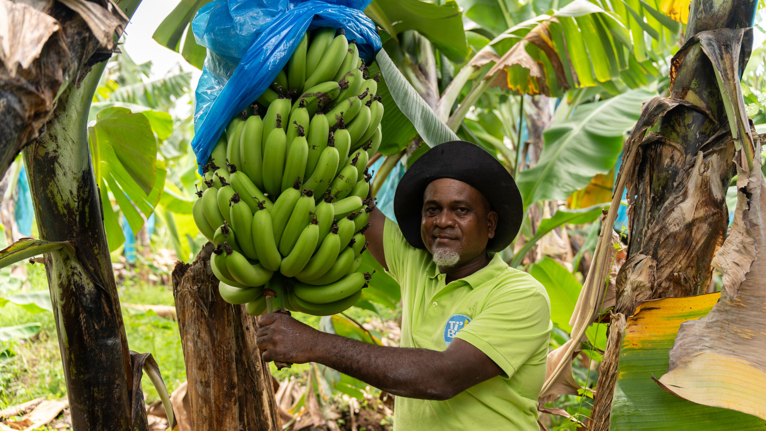 LOUISIN SINAMAN - SICATR